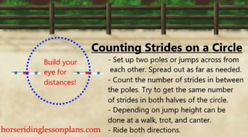 Riding Lesson Plans - Horse Riding Lesson Plans & Summer Camp Curriculum