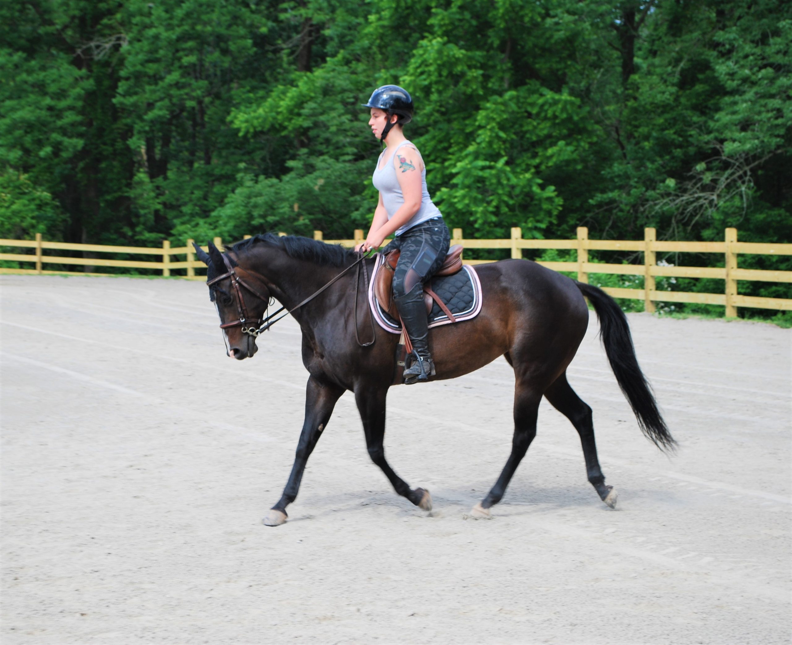Riding Exercises/Skills – Horse Riding Lesson Plans & Summer Camp ...