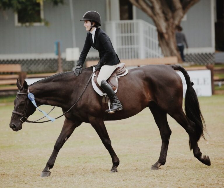 Leg Stability Exercises - Horse Riding Lesson Plans & Summer Camp ...