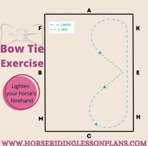 Riding Lesson Plans - Horse Riding Lesson Plans & Summer Camp Curriculum