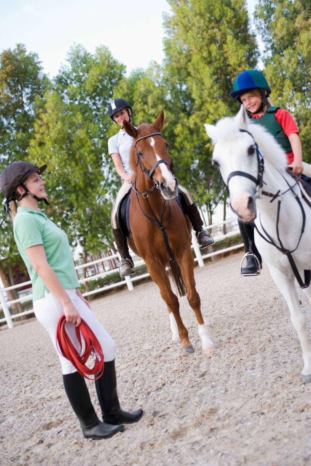 Subscription - Horse Riding Lesson Plans & Summer Camp Curriculum