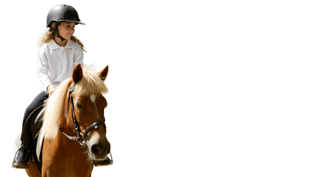 Summer Camp Ideas - Horse Riding Lesson Plans & Summer Camp Curriculum