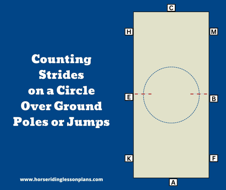 Riding Lesson Plans - Horse Riding Lesson Plans & Summer Camp Curriculum