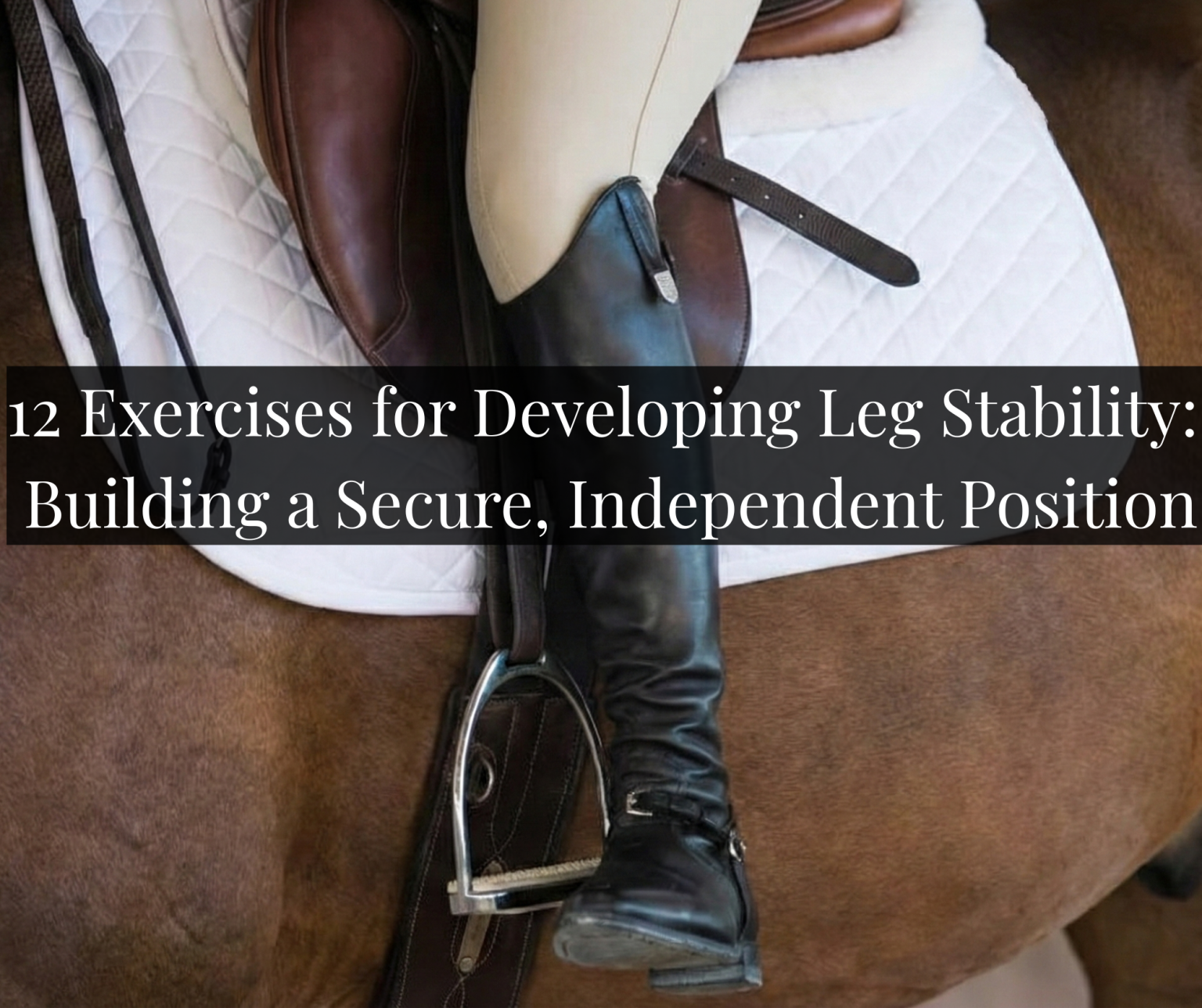 Riding Lesson Plans - Horse Riding Lesson Plans & Summer Camp Curriculum